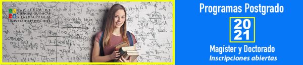 Inicia proceso de postulación para programas de Postgrado 2021 ...